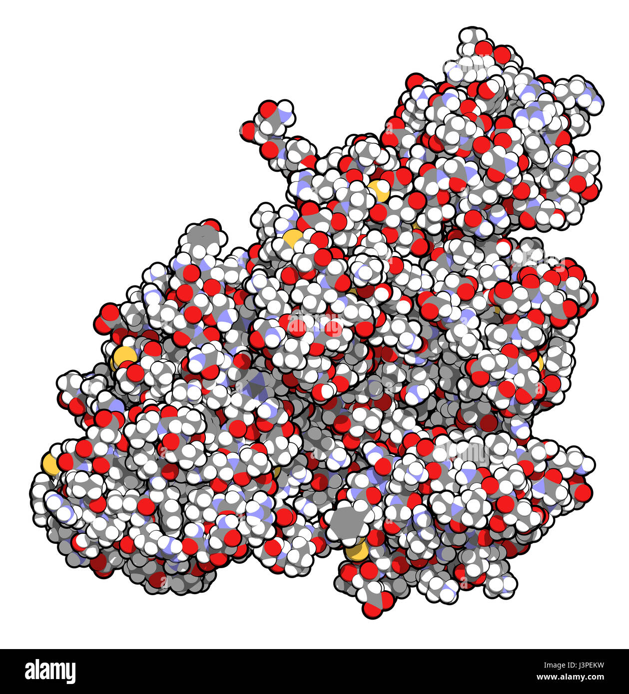 Plasminogen-Plasmin-Vorläufer-Protein. Plasmin ist ein Enzym, das für ...