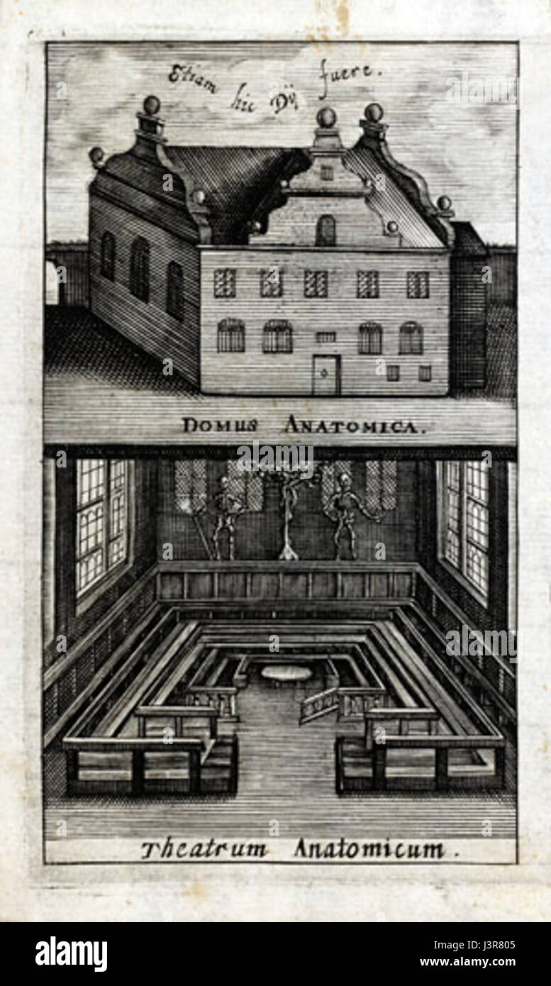 Institut anatomie -Fotos und -Bildmaterial in hoher Auflösung – Alamy