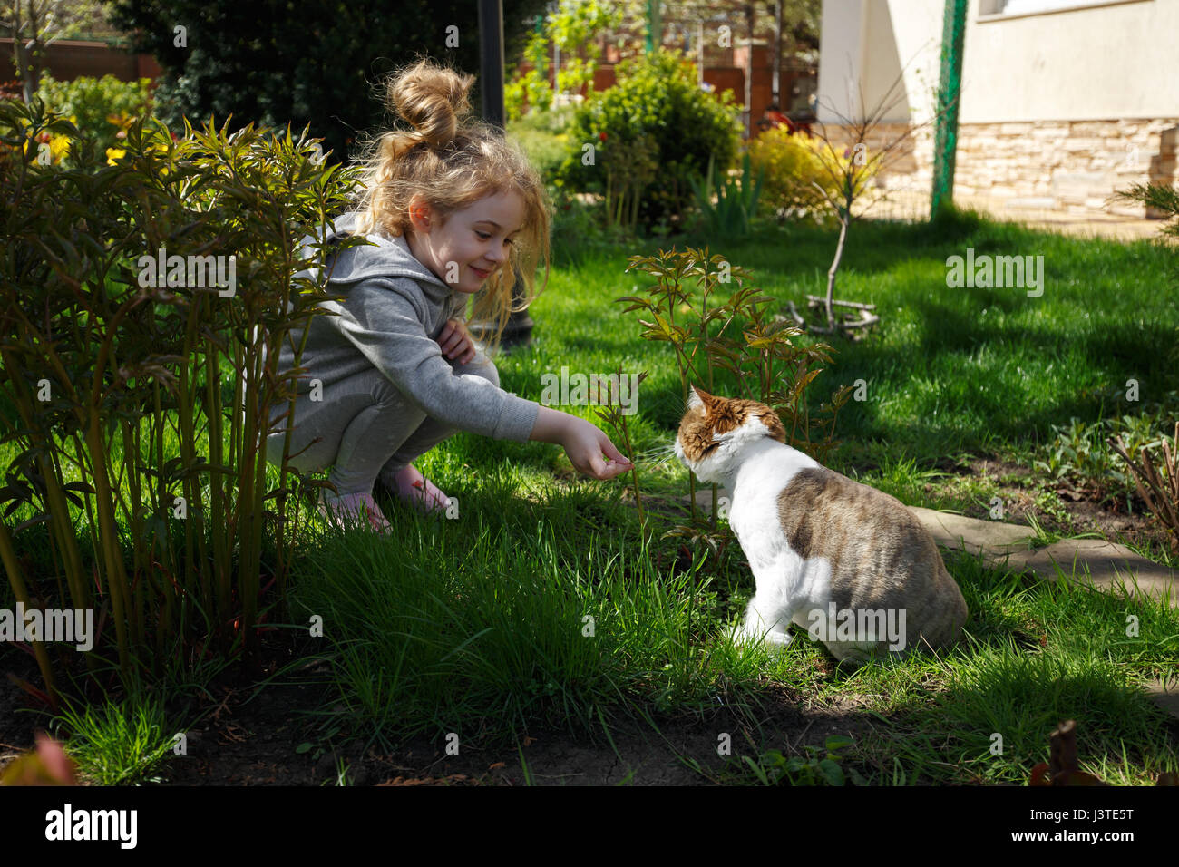 Kleines mädchen mit katze -Fotos und -Bildmaterial in hoher Auflösung ...