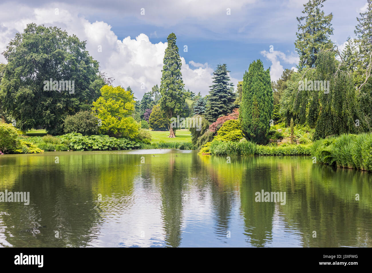 Sandringham estate -Fotos und -Bildmaterial in hoher Auflösung – Alamy