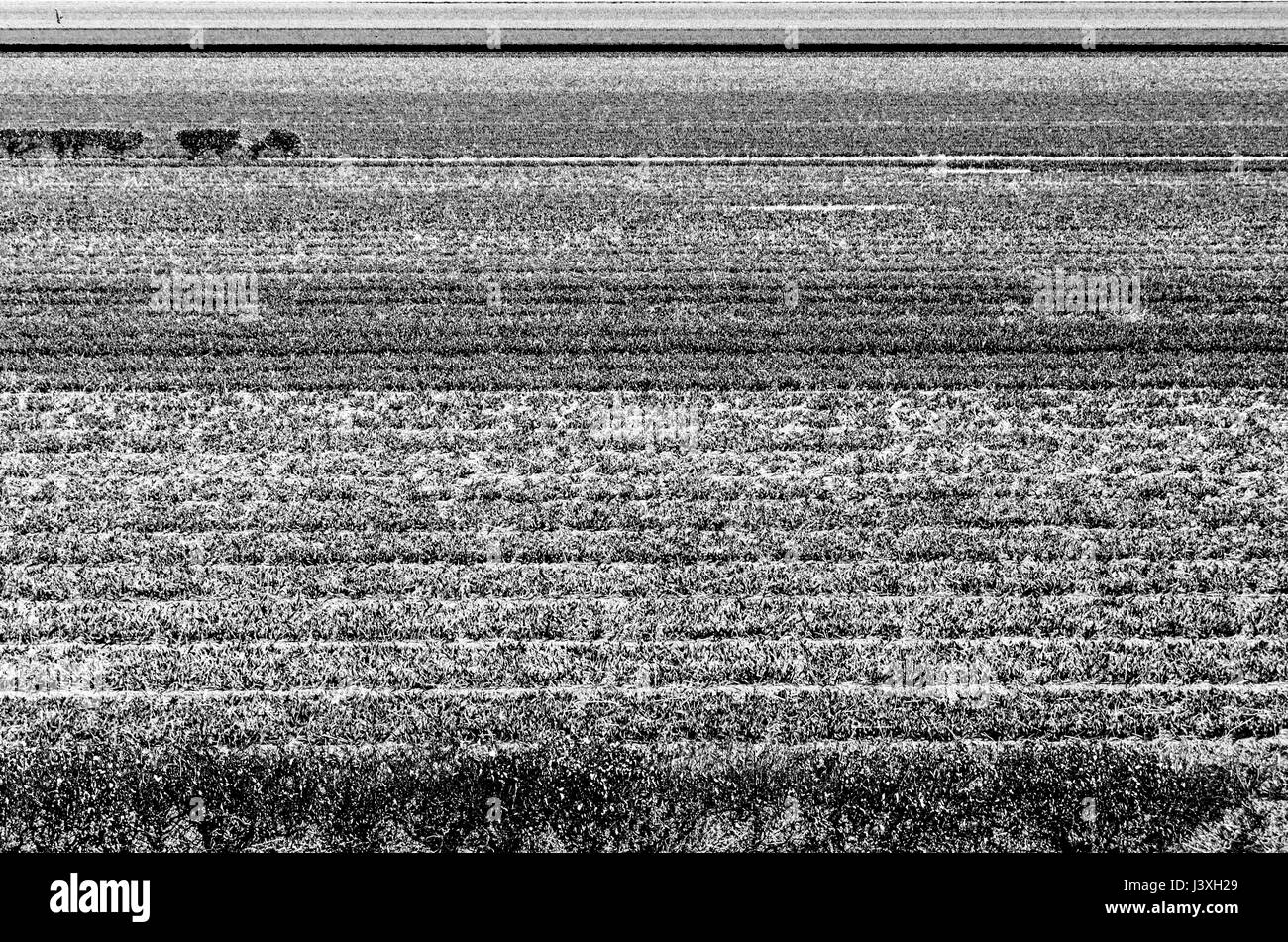 Kontrastreiches landschaftsbild Schwarzweiß-Stockfotos und -bilder ...