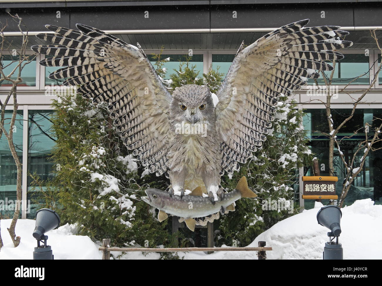 Asiatische eulen -Fotos und -Bildmaterial in hoher Auflösung – Alamy