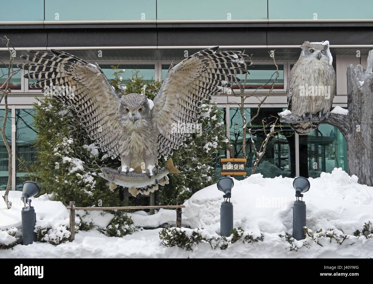 Asiatische Eulen Stockfotos und -bilder Kaufen - Alamy