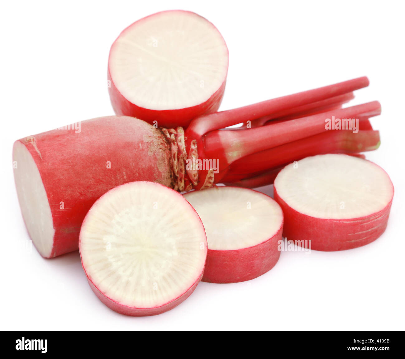 Roter daikon rettich -Fotos und -Bildmaterial in hoher Auflösung – Alamy