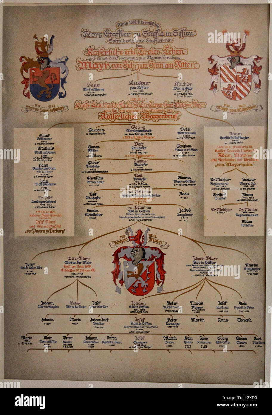Der stammbaum -Fotos und -Bildmaterial in hoher Auflösung – Alamy