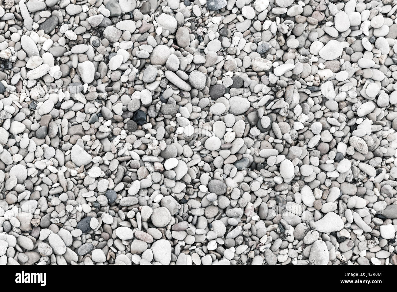 Foto Hintergrundtextur von weiße Kiesel, schwarzen Meer Strand Boden ...