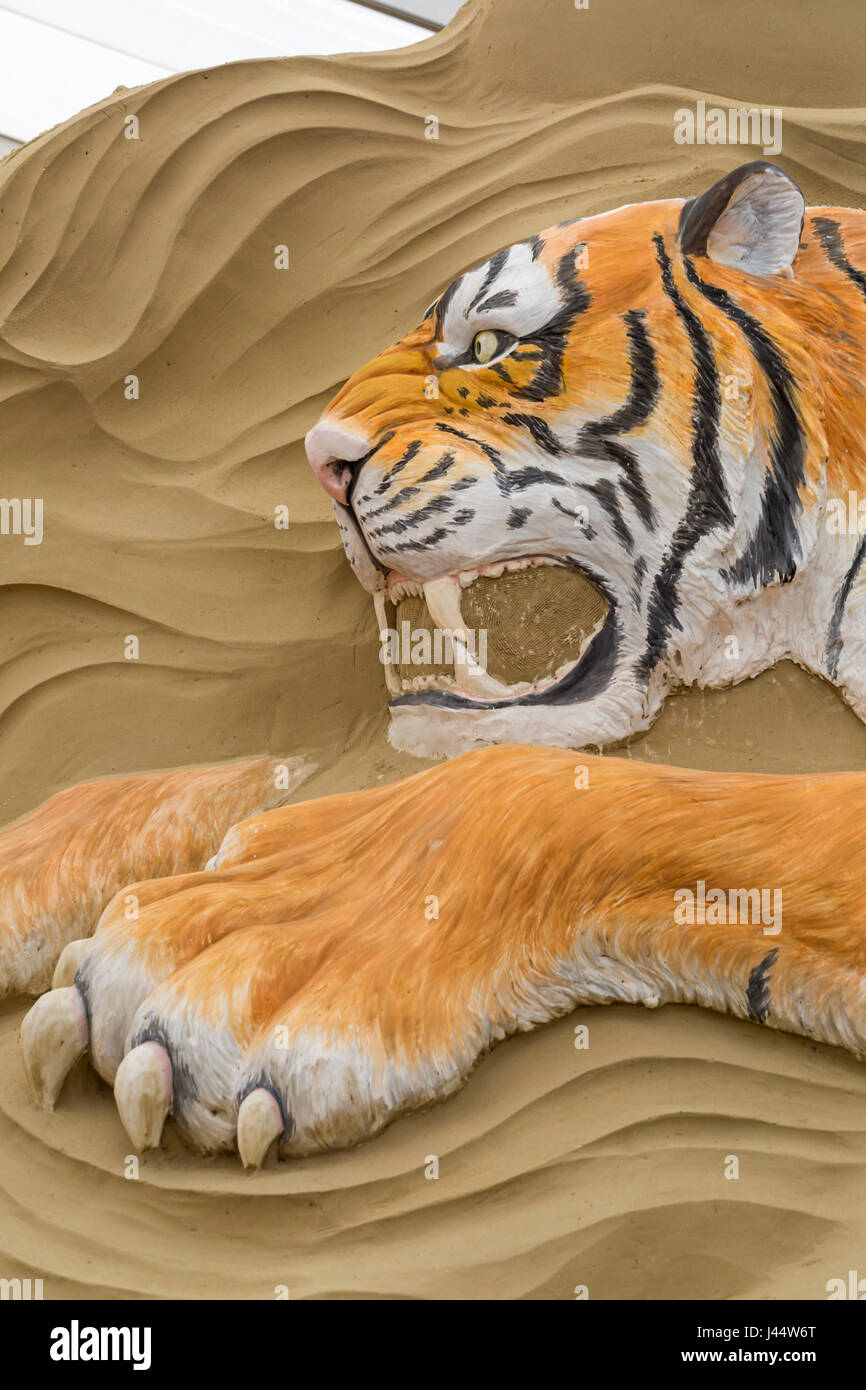 Bengale Tiger Sandskulptur der Bildhauerin Rachel Stubbs, eine der ...