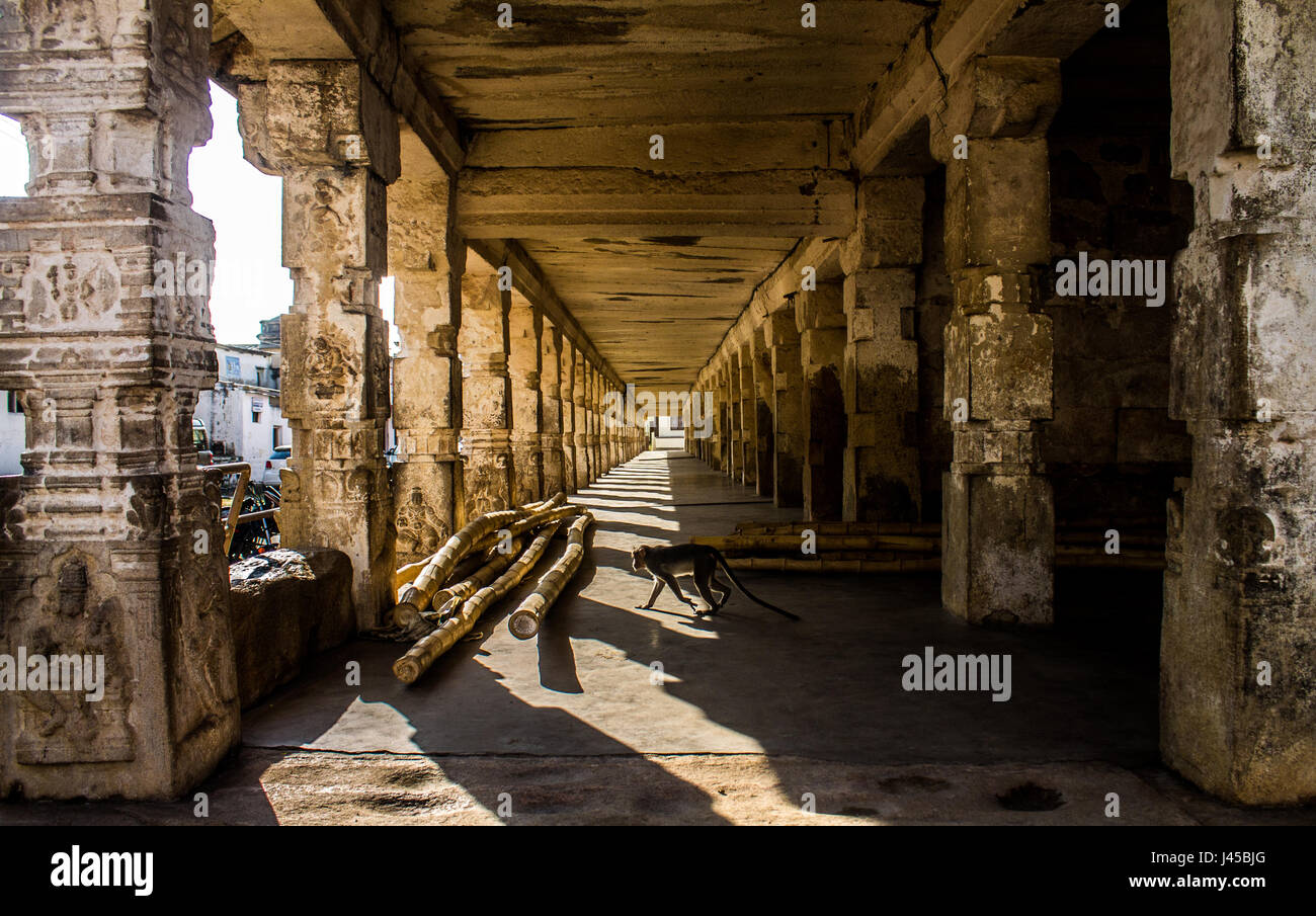 Melkote tourismus -Fotos und -Bildmaterial in hoher Auflösung – Alamy