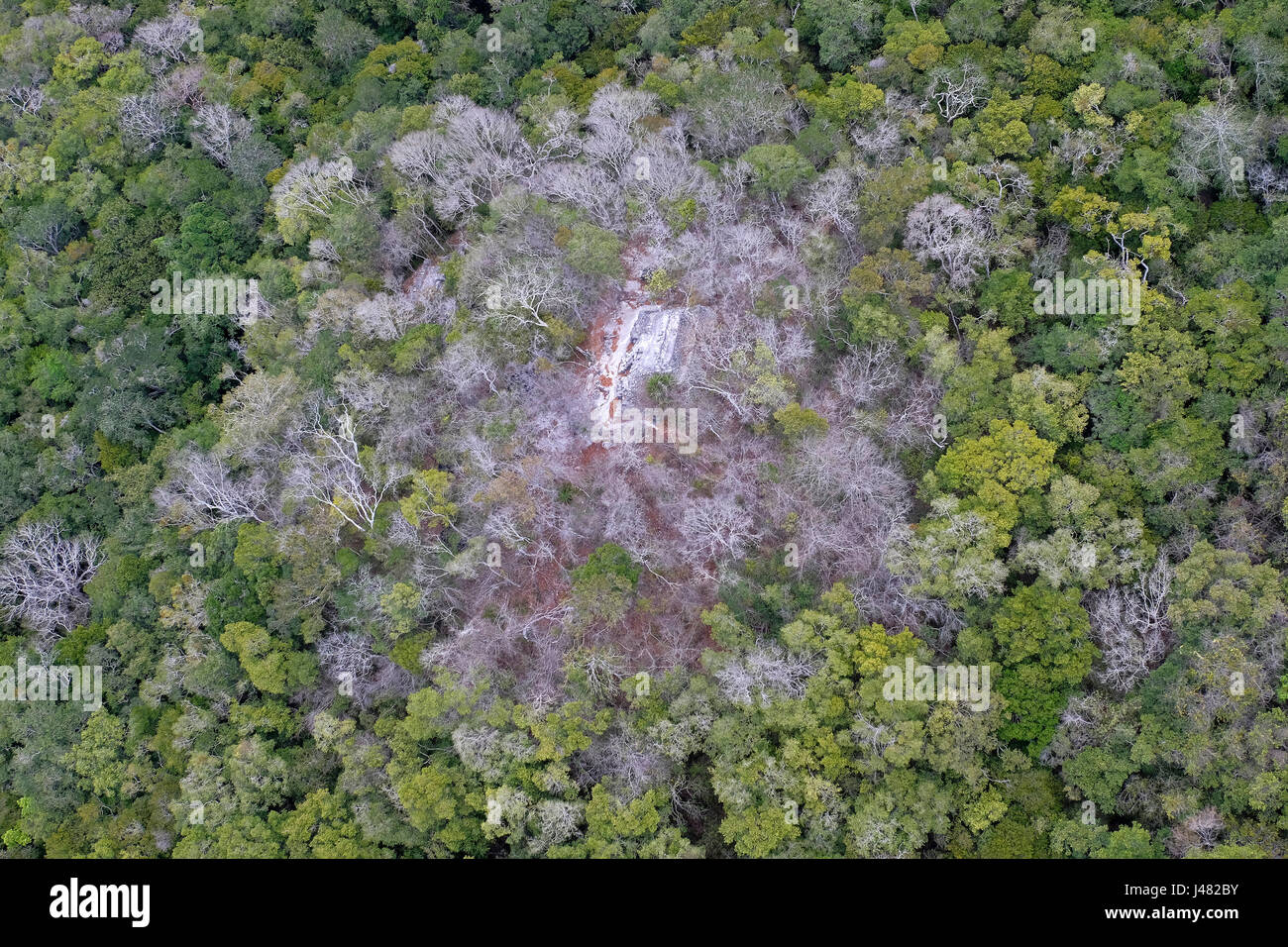 La Danta Pyramid Stockfotos und -bilder Kaufen - Alamy