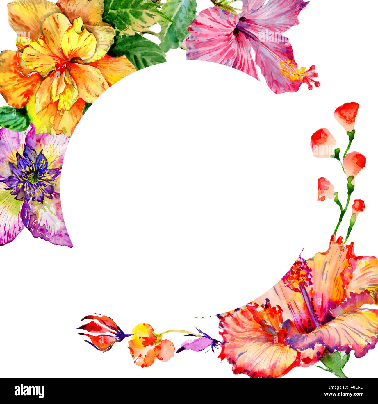Wildflower Hibiskus Blumenrahmen im Aquarell-Stil isoliert. Aquarell ...