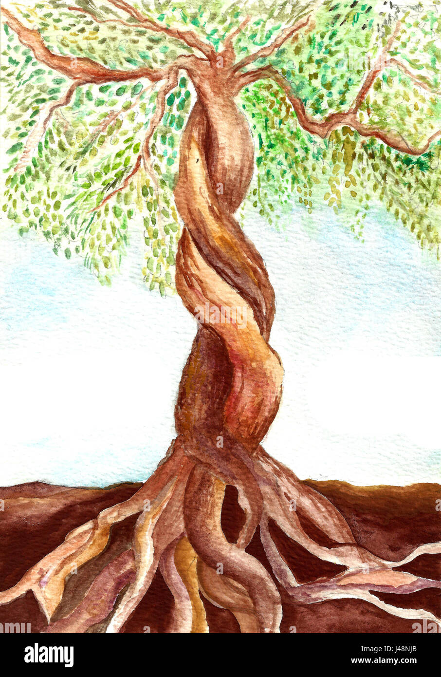 Baum mit Wurzeln, Wasser Farbe Abbildung. starke Wurzeln, die Bündelung ...