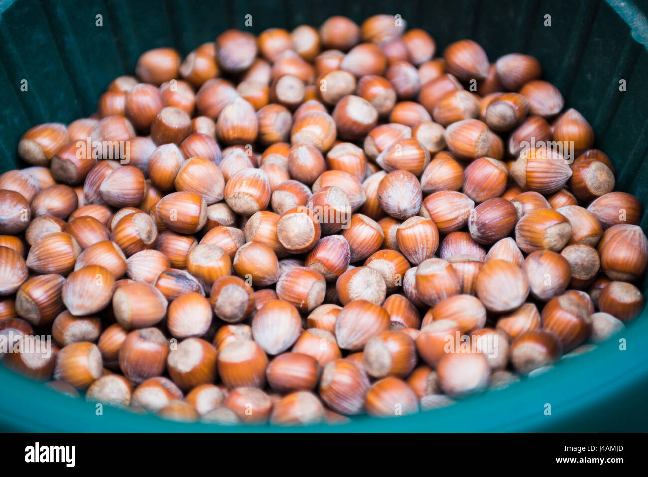 Haselnuss Textur Stockfotos und -bilder Kaufen - Alamy