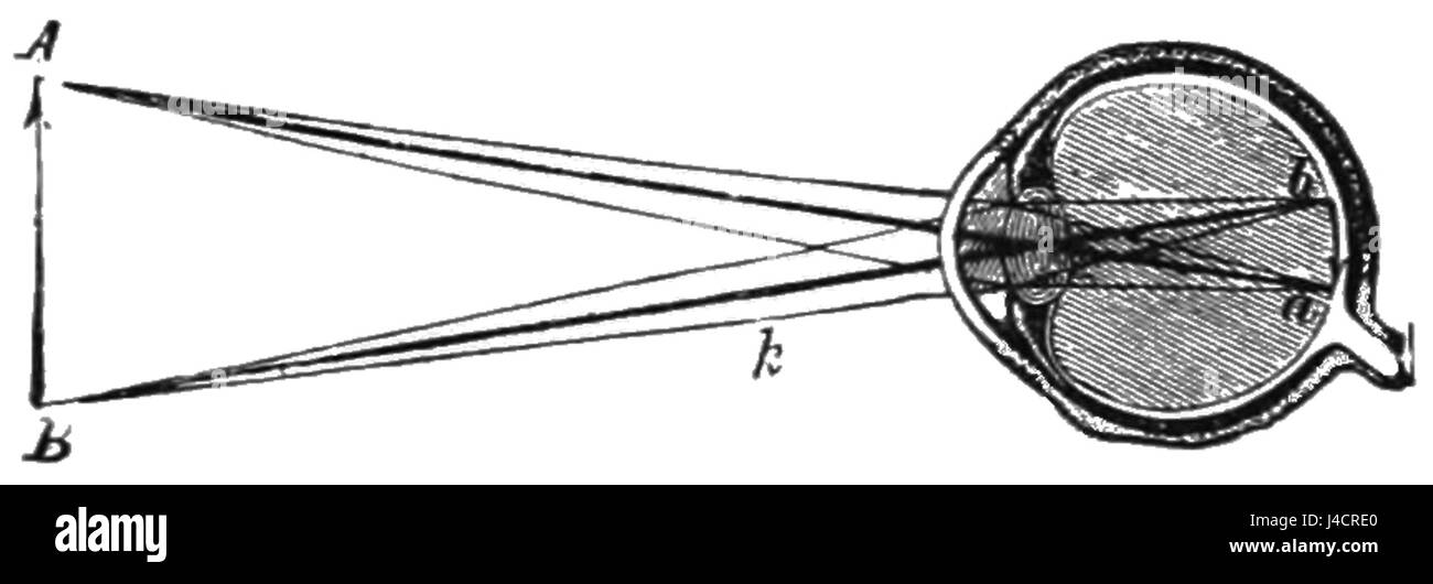 Die Abbildung von PSM V09 D712 zeigt die detaillierte Anatomie und ...