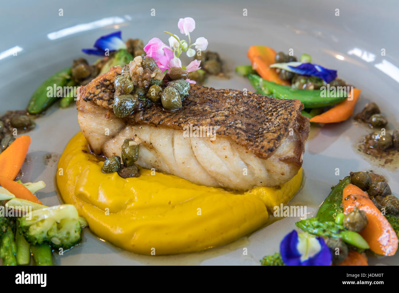 Pangasius Fish Stockfotos und -bilder Kaufen - Alamy