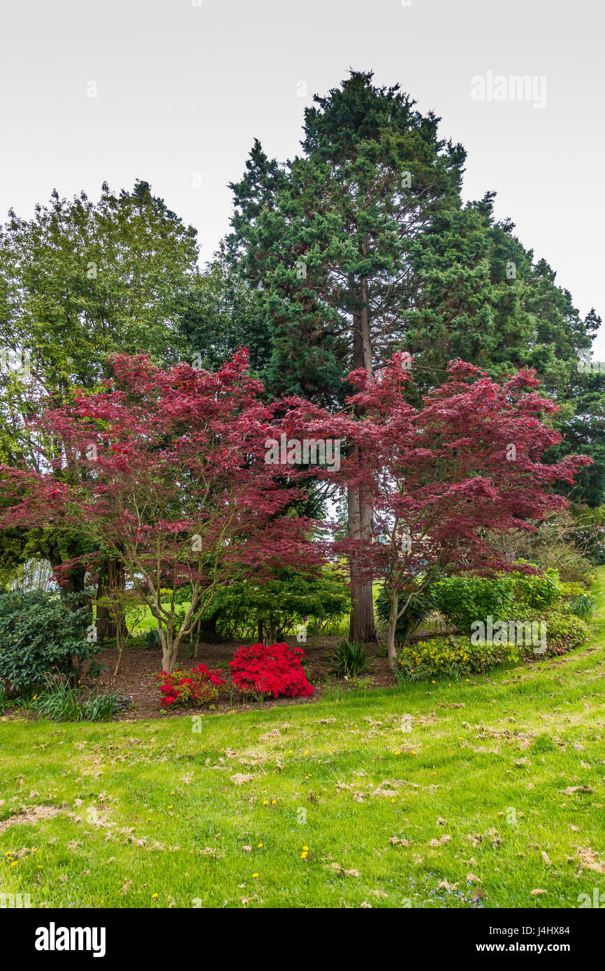 Hamilton aussichtspunkt park -Fotos und -Bildmaterial in hoher ...