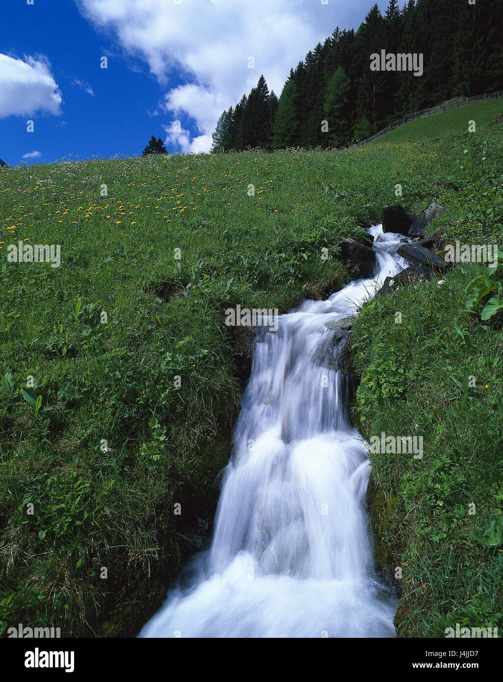 Österreich, Tirol, Oberberg, Frühlingswiese, Bergbach außerhalb ...