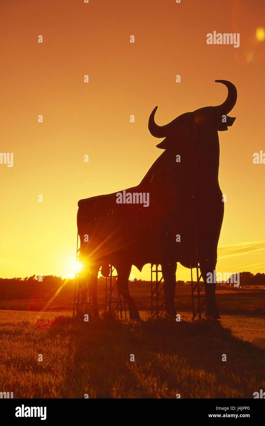 Spanien, Mallorca, silhouette, Werbung Schild, "Stier", der Balearen ...