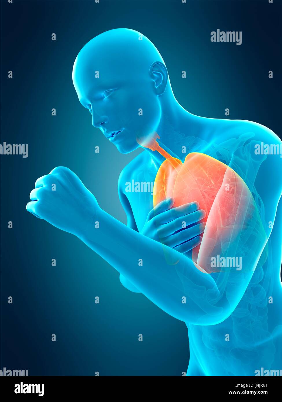 Anatomie der Person Husten, Abbildung Stockfotografie - Alamy