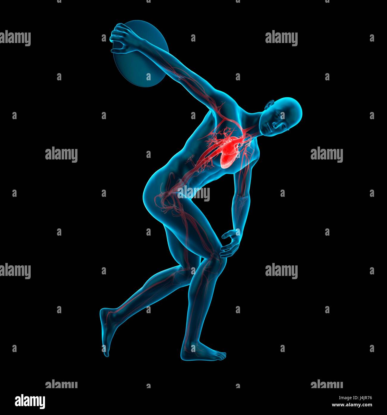 Anatomy of athlete throwing discus -Fotos und -Bildmaterial in hoher ...