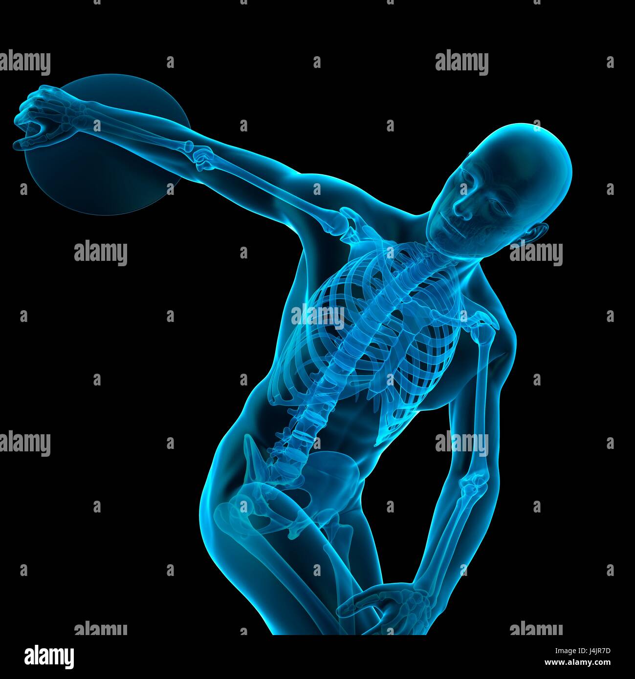 Anatomy of athlete throwing discus -Fotos und -Bildmaterial in hoher ...
