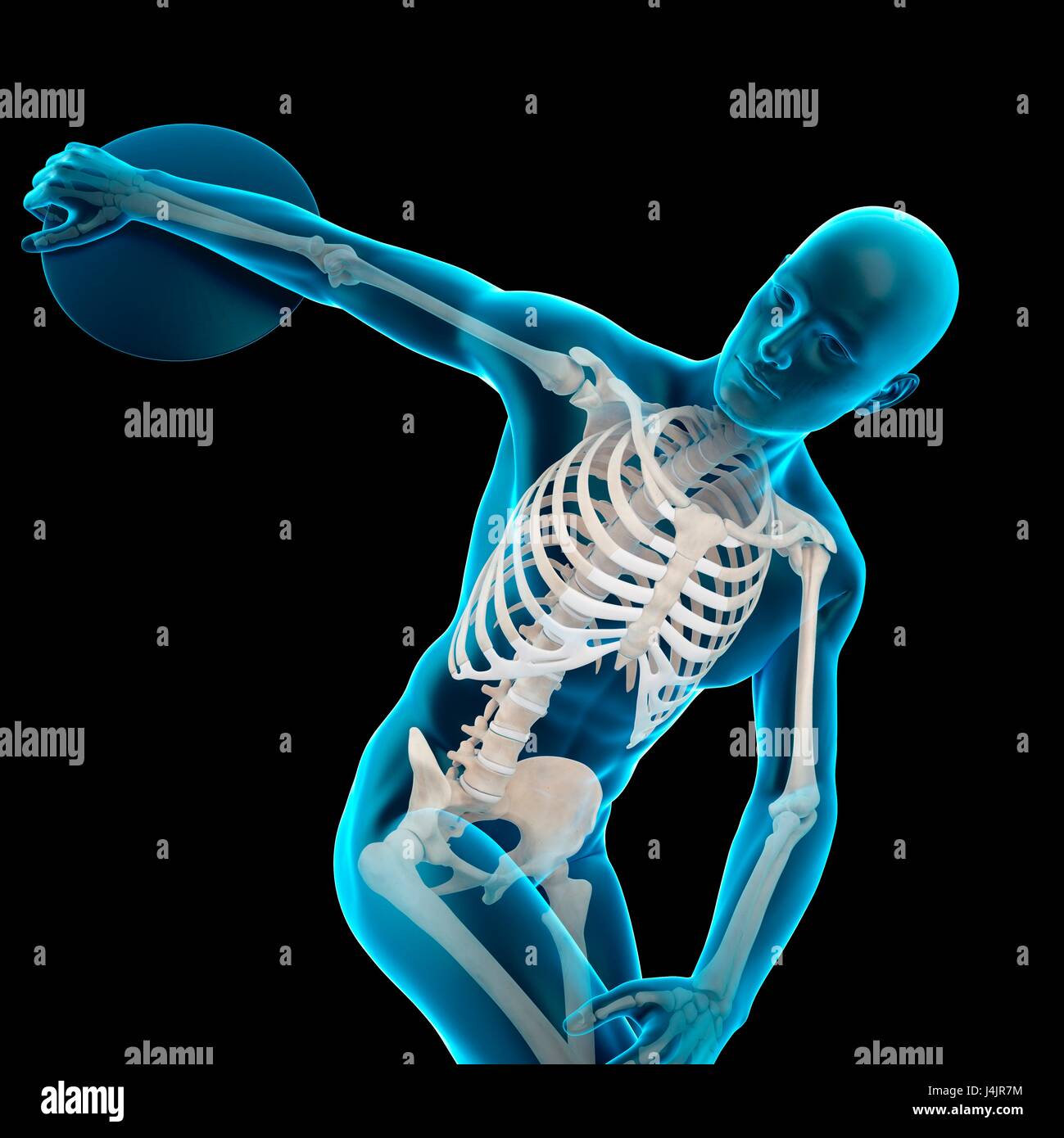 Anatomy of athlete throwing discus -Fotos und -Bildmaterial in hoher ...