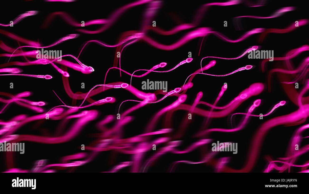 Menschliche Spermien, Abbildung Stockfotografie - Alamy