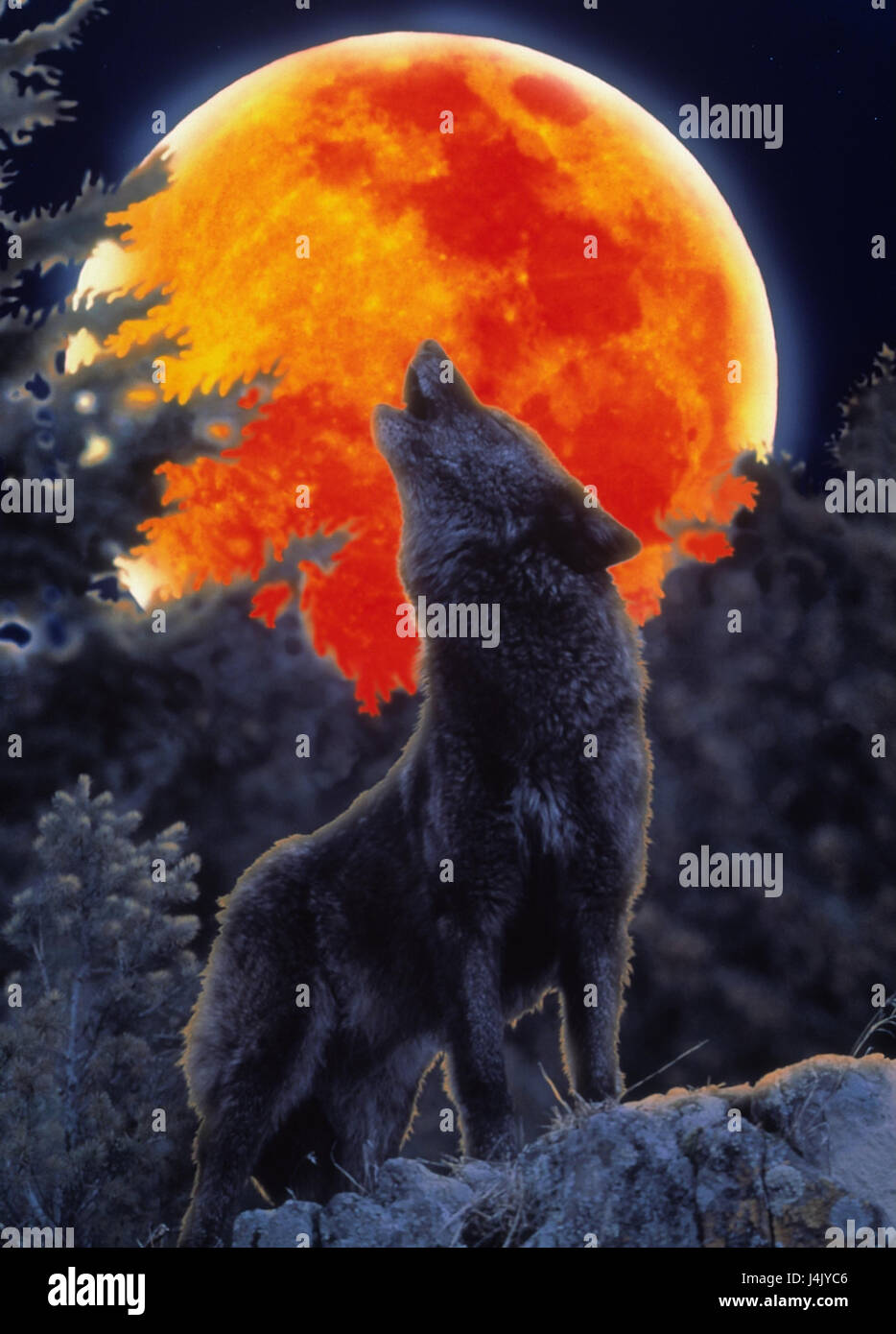 Wolf howl moon -Fotos und -Bildmaterial in hoher Auflösung - Seite 2 ...