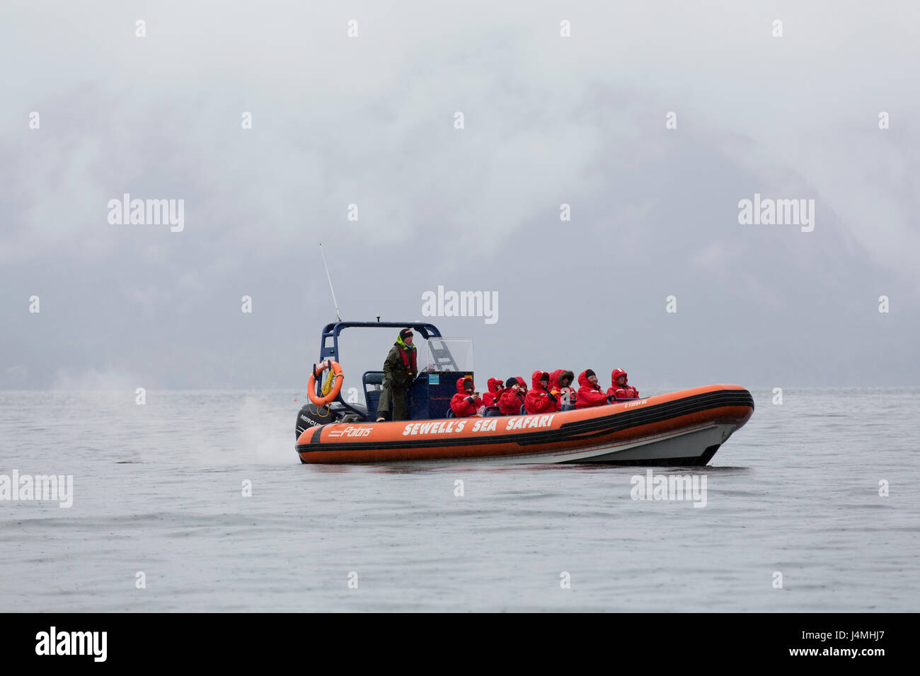 Menschen an Bord ein Zodiac Boot auf einer Tour von Howe Sound in der ...