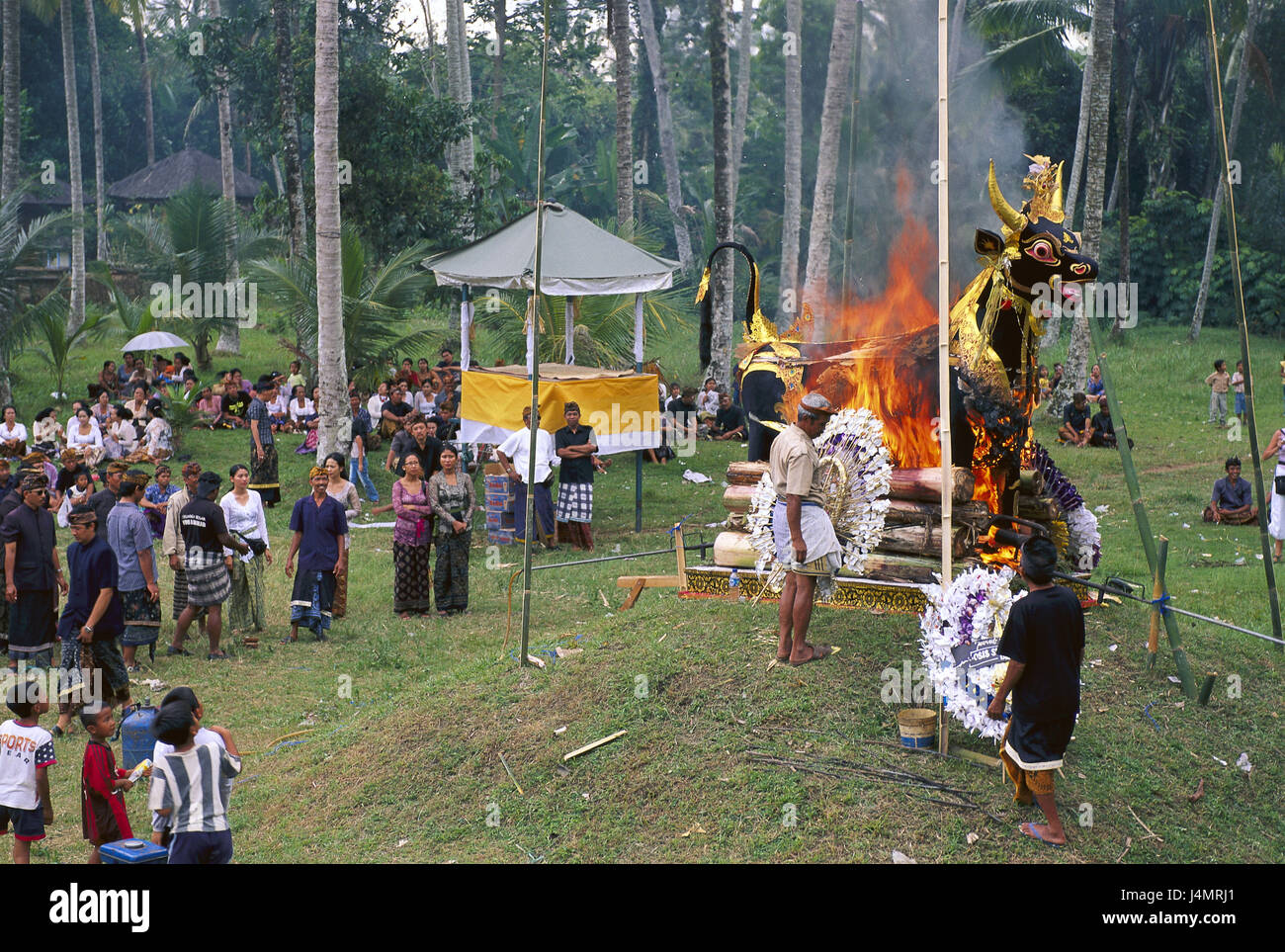Indonesien, Bali, Feuerbestattung, Zeremonie zu verbrennen, bull ...