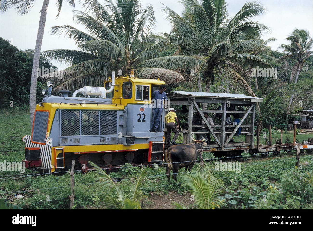 Sugarcane train -Fotos und -Bildmaterial in hoher Auflösung – Alamy