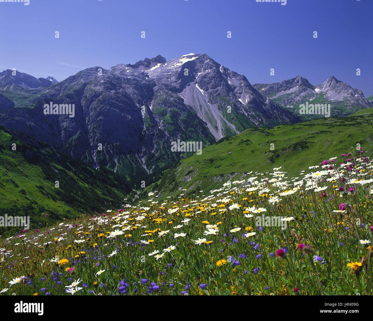 Österreich, Vorarlberg, Lech im Berg Arl, Lechquellengebirge ...