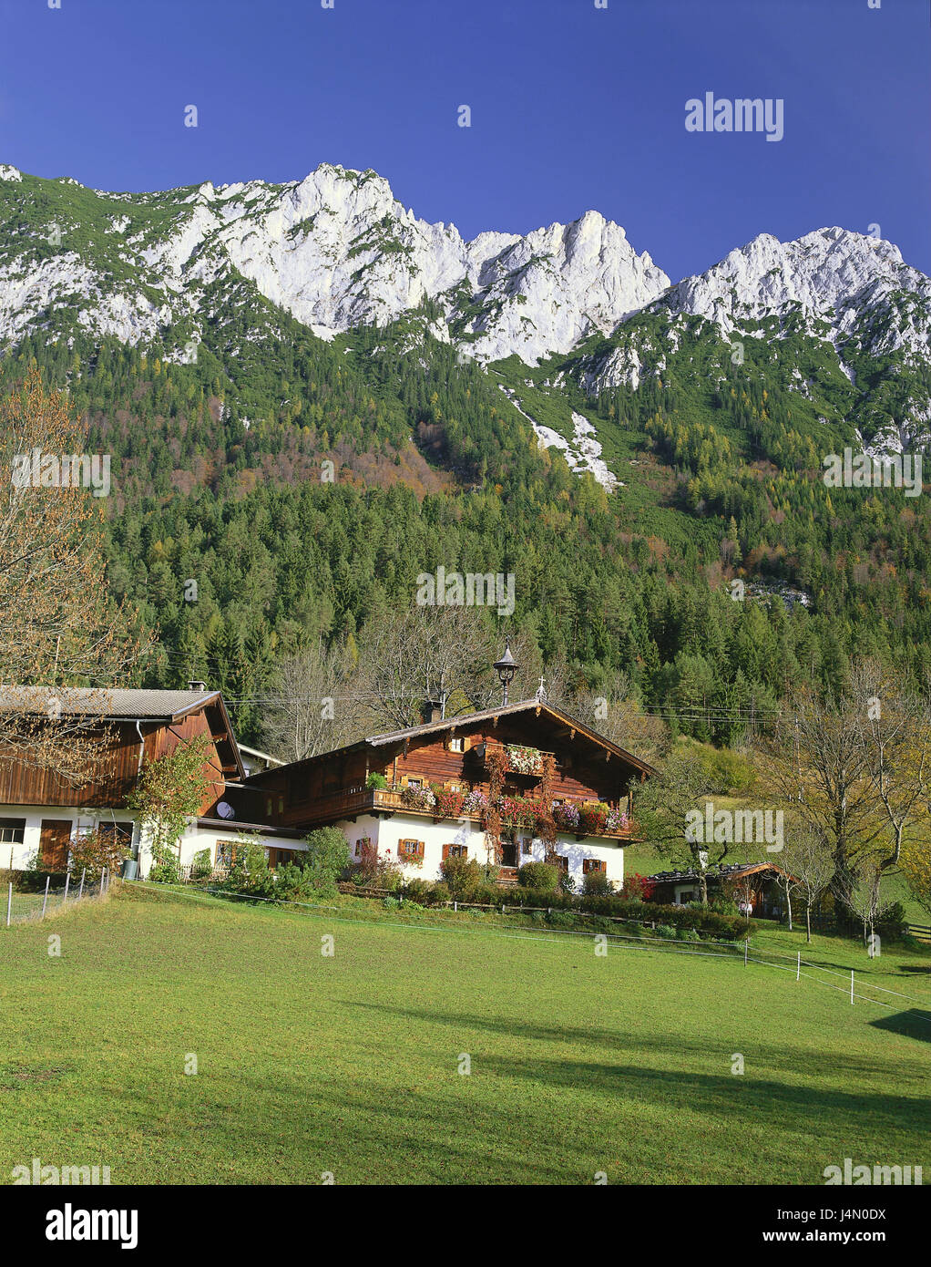Scheffau im wilden kaiser -Fotos und -Bildmaterial in hoher Auflösung ...