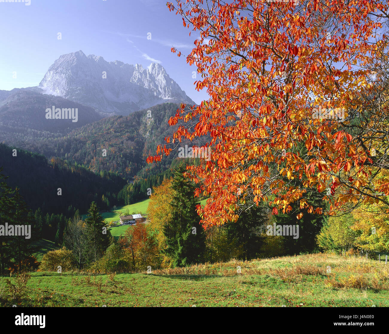 Österreich, Tirol, Dorf Kirch, Berg Hinter, Ansicht, Wilder Kaiser ...