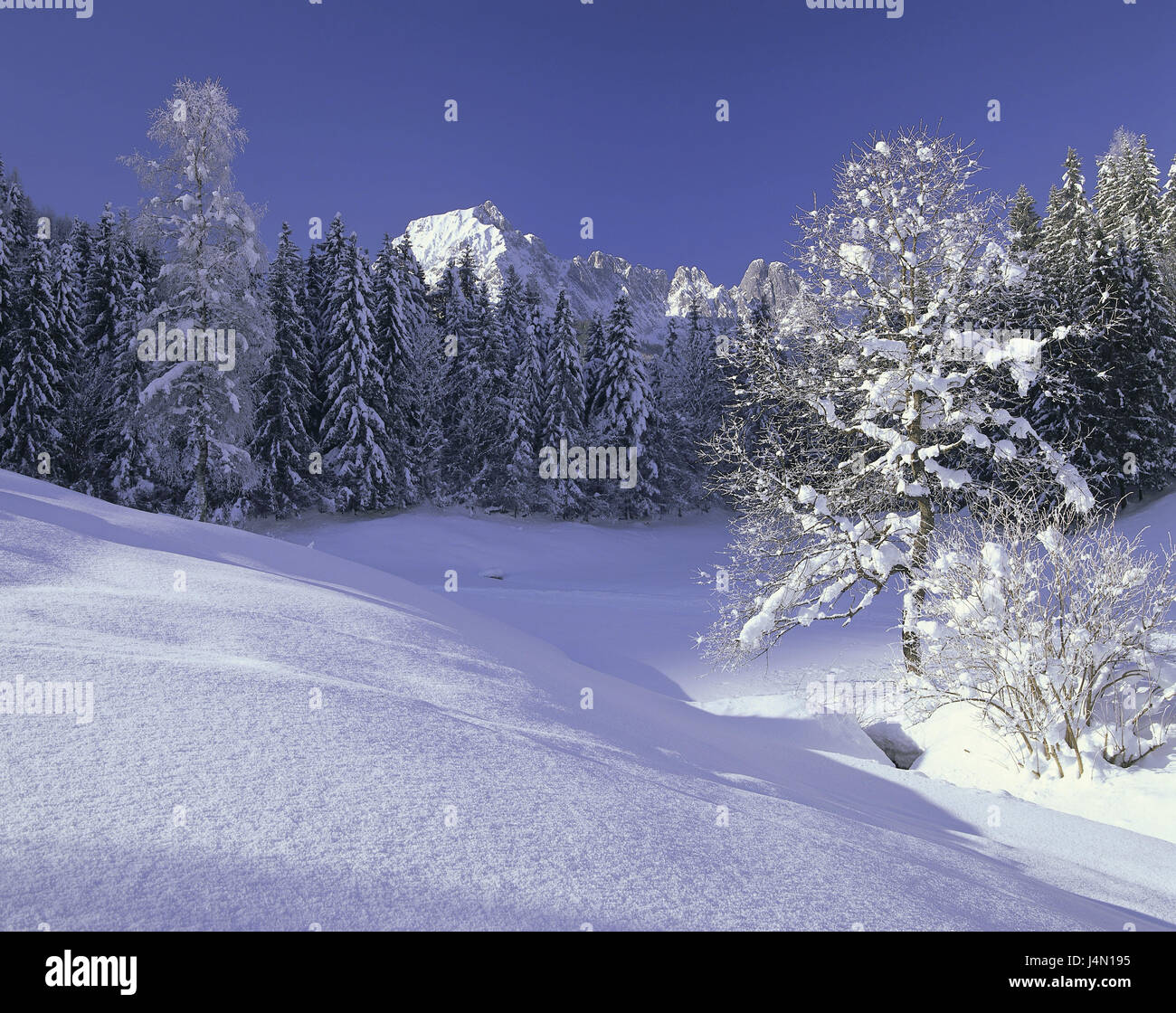 Österreich, Tirol, Dorf Kirch, Wilder Kaiser, gas-Teig, winter ...