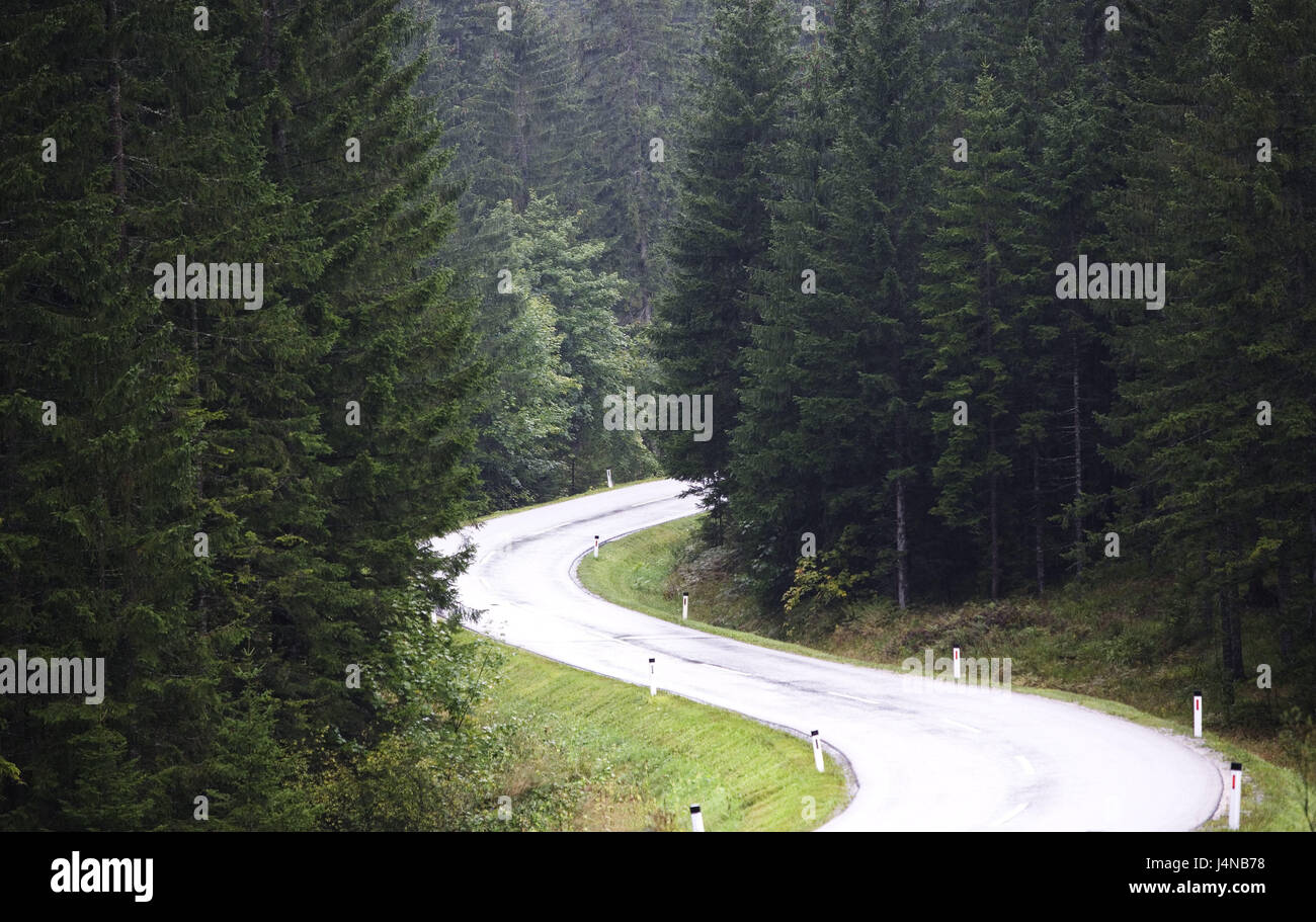 Bergstraße, Wicklung, Straße, biegen, Kurven, Waldstraße, einsame ...