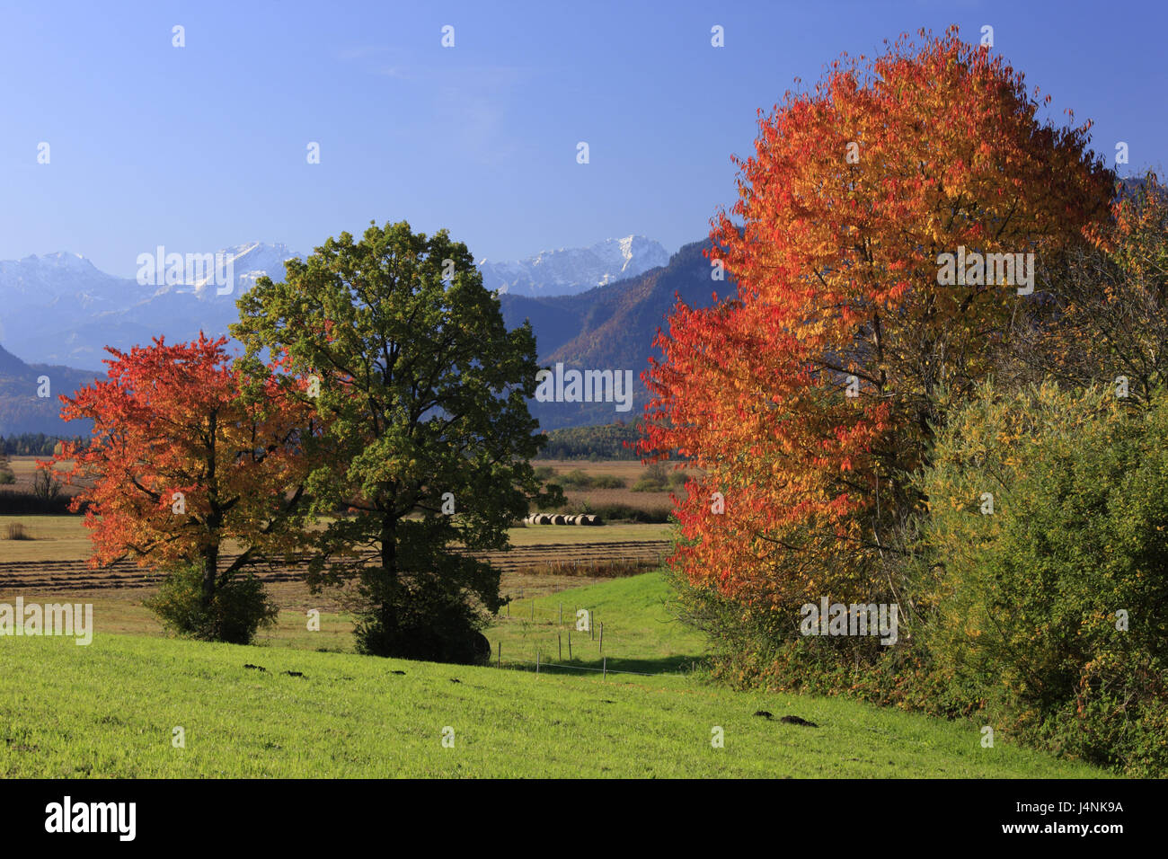 Murnauer moos mit zugspitze -Fotos und -Bildmaterial in hoher Auflösung ...