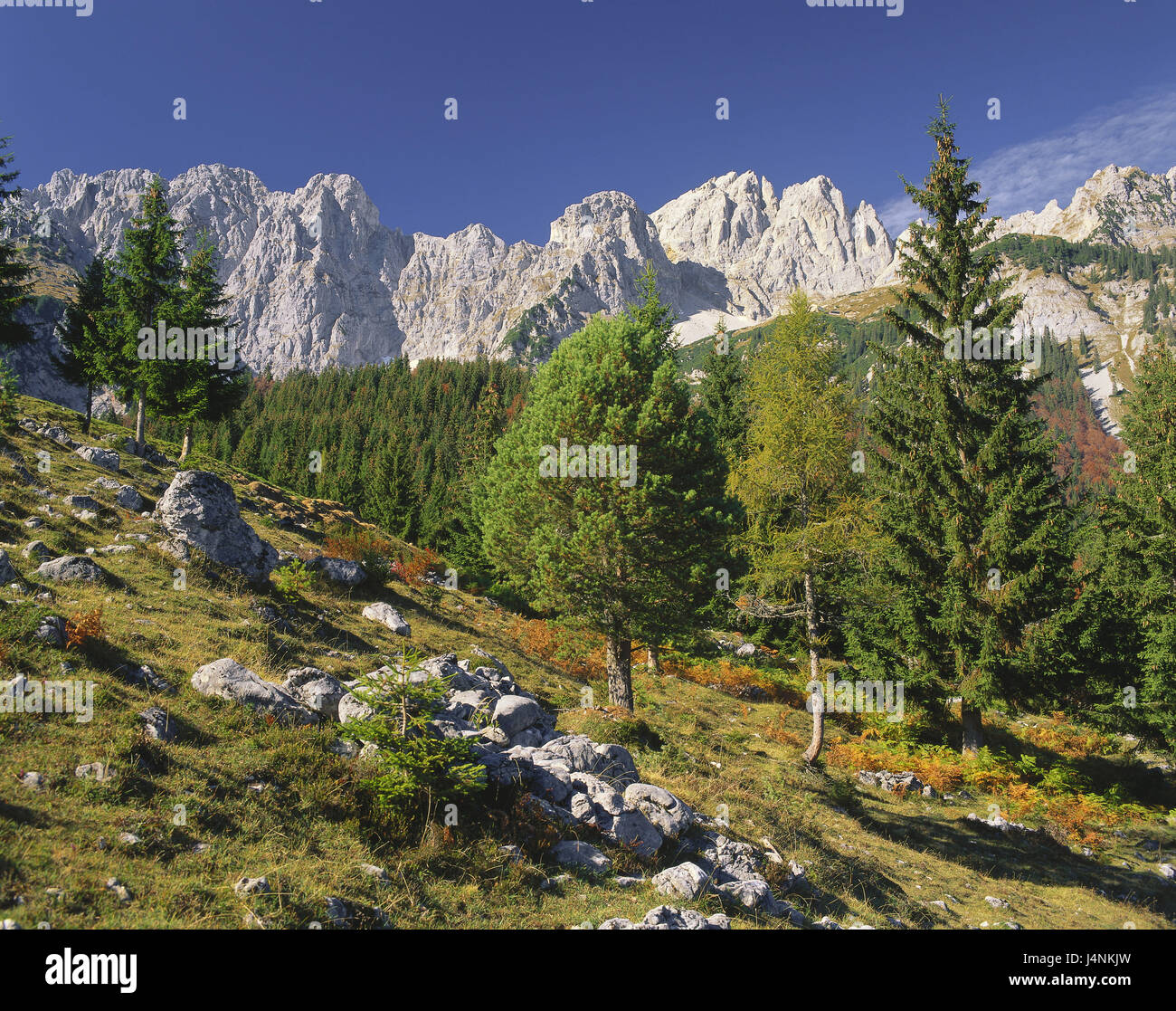 Österreich, Tirol, Ellmau, Wilder Kaiser, Hochbrunnalm, Ellmauer ...