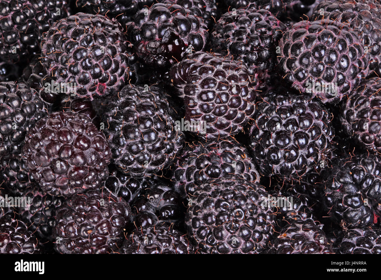 Rubus Occidentalis Stockfotos und -bilder Kaufen - Alamy