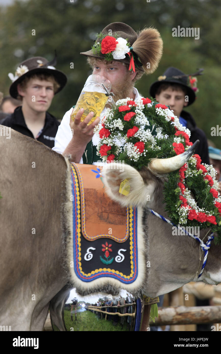 Bayern, Allgäu, oberen Allgäu, Obermaiselstein, Viehscheid, Hirten ...