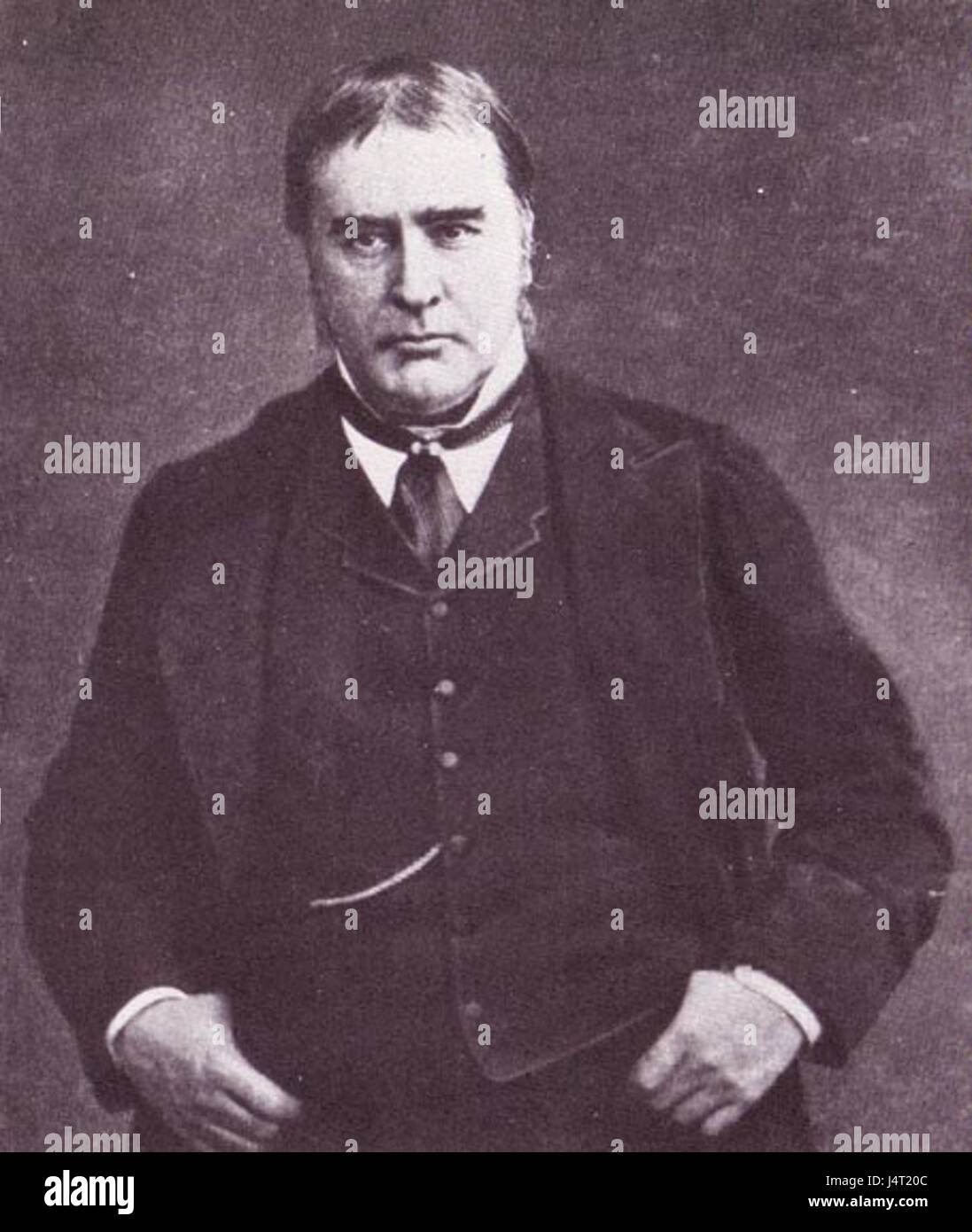 William gull -Fotos und -Bildmaterial in hoher Auflösung – Alamy