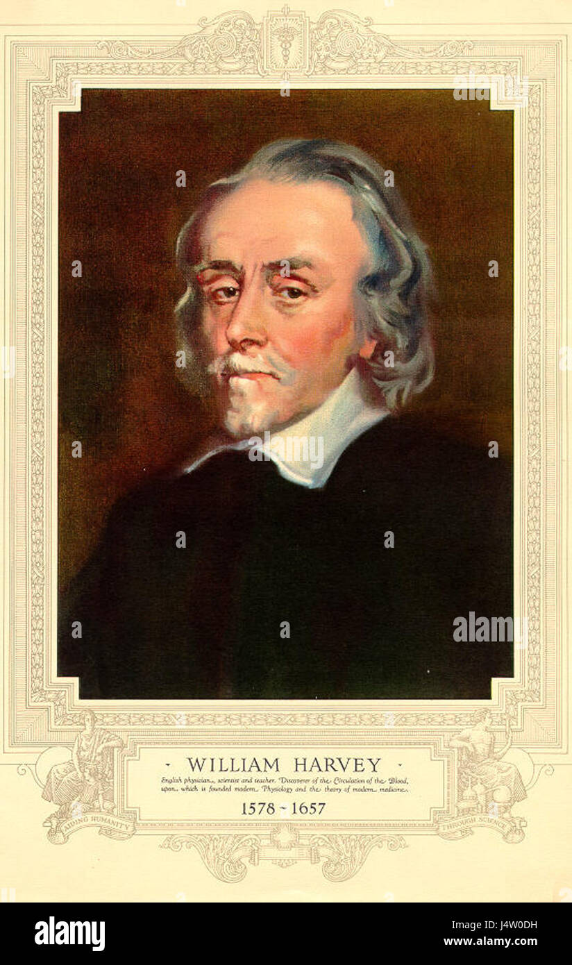 Mappa di harvey -Fotos und -Bildmaterial in hoher Auflösung – Alamy