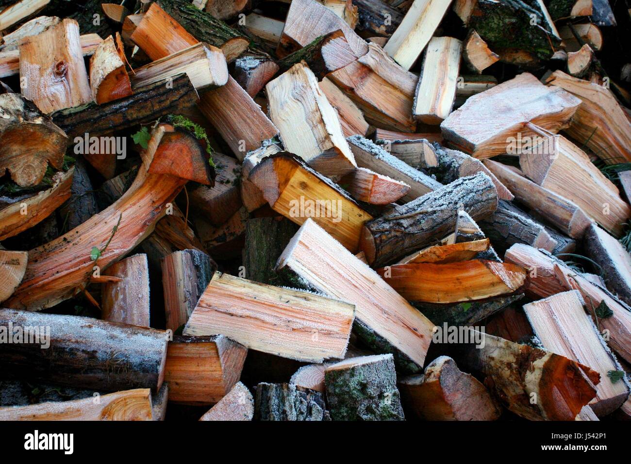 Baum, Holz, Säge, sagen, fiel, Wald, Scheite, holzscheite ...