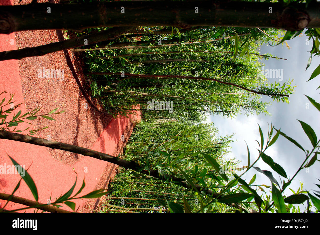 Buga muenchen -Fotos und -Bildmaterial in hoher Auflösung – Alamy