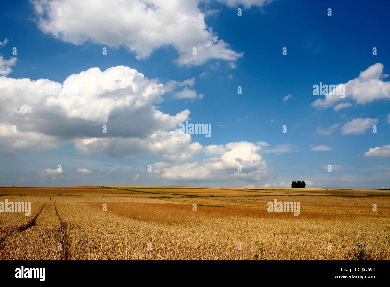 2 furche Stockfotos und -bilder Kaufen - Alamy