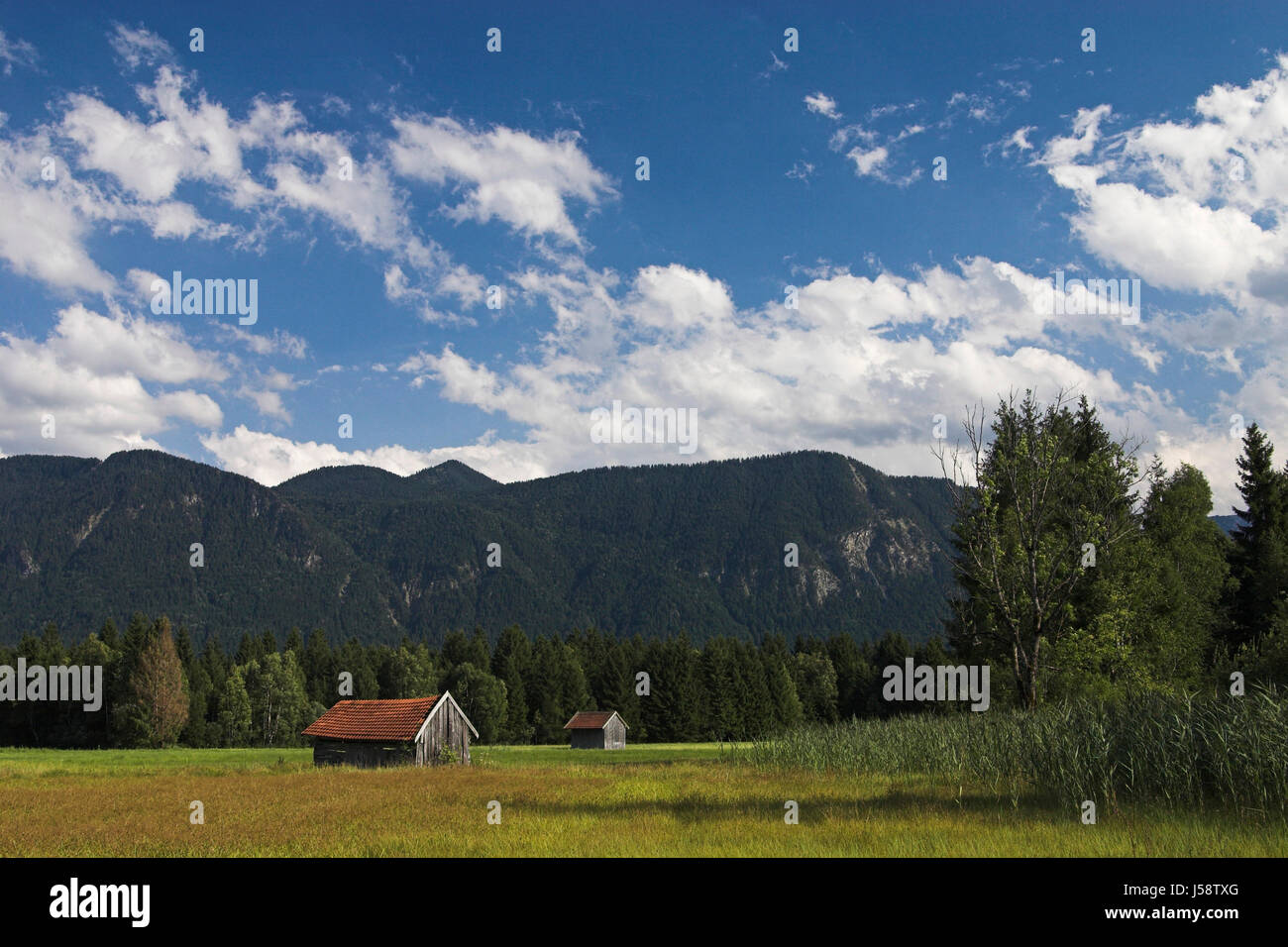 Berge-Alpen-Wanderung Wandern Wanderung Bayern Moos Oberbayern ...
