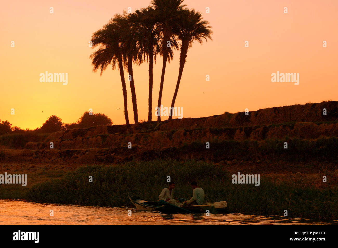 Sonnenuntergang Romantik Palmen Oase Palm Tree Kairo Ägypten Fischer ...