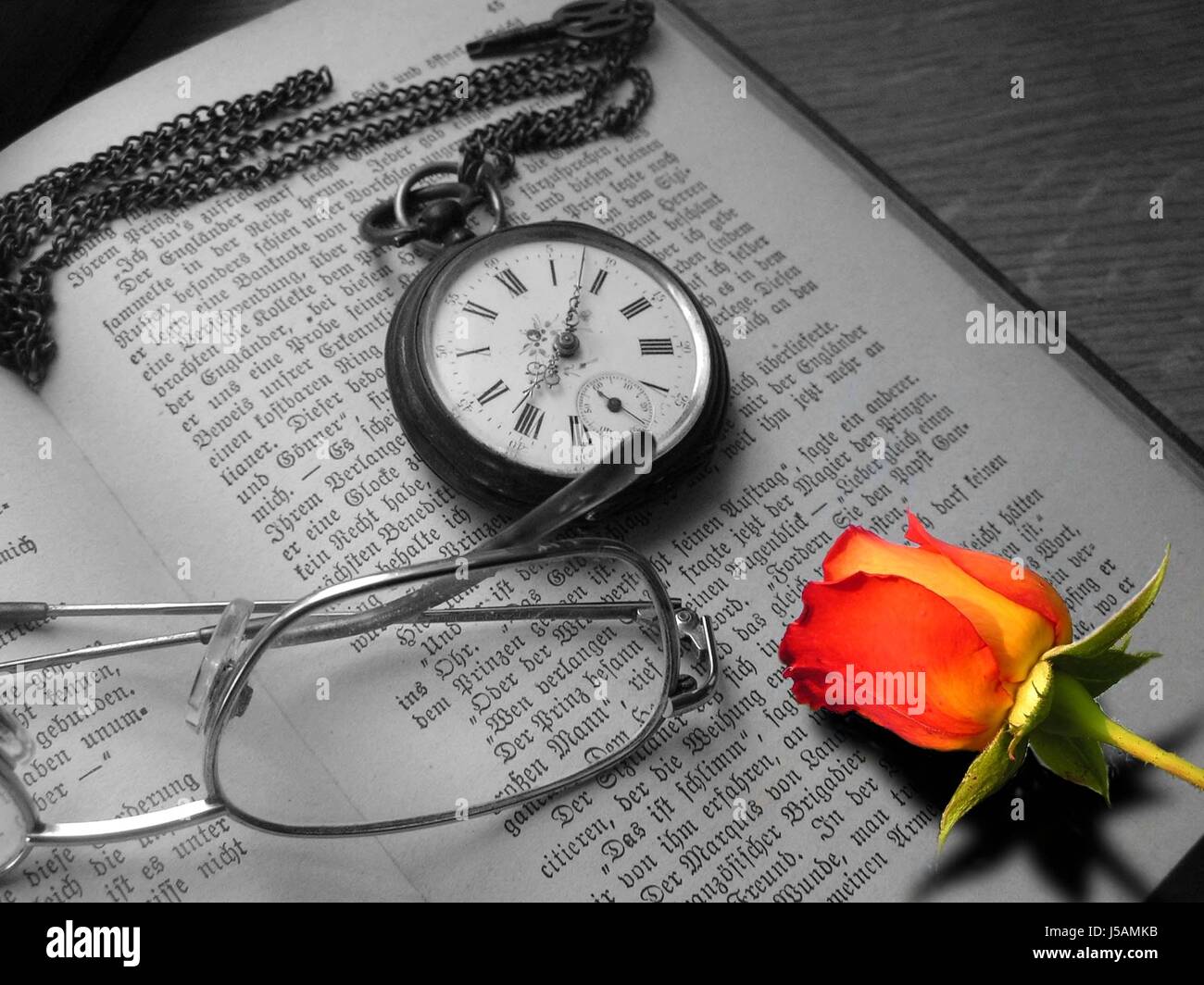 Bildung, Blume, Rose, Pflanze, Taschenuhr, scanning, liest, Altes Buch ...