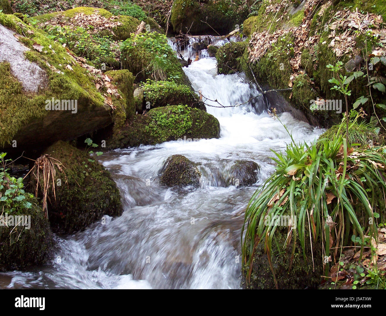 Panta rhei -Fotos und -Bildmaterial in hoher Auflösung – Alamy