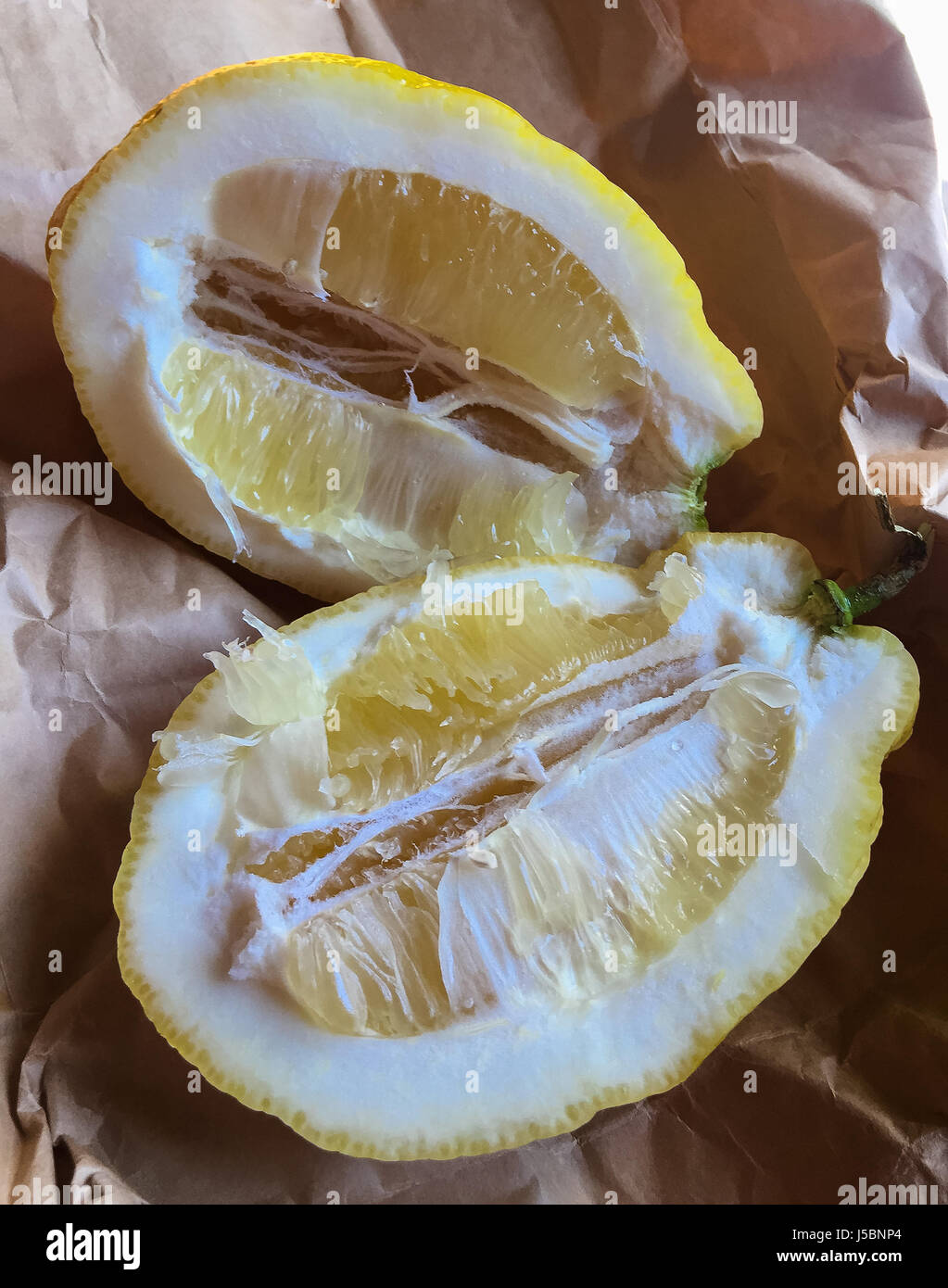 Zitronenernte europa -Fotos und -Bildmaterial in hoher Auflösung – Alamy