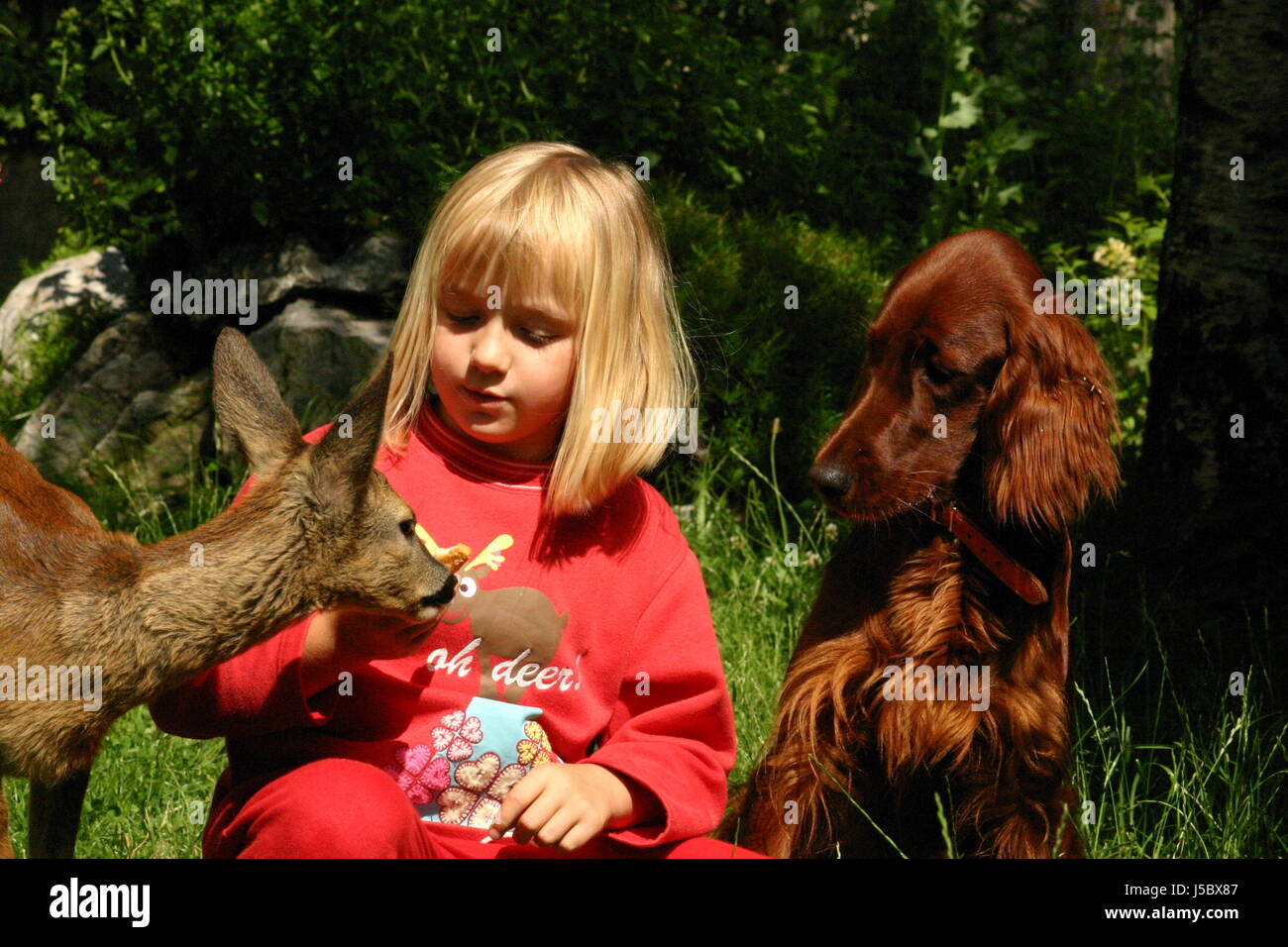 Hund aufgezogen Liebe der Tiere Reh Töchter Kind Roe Tochter Tochter ...